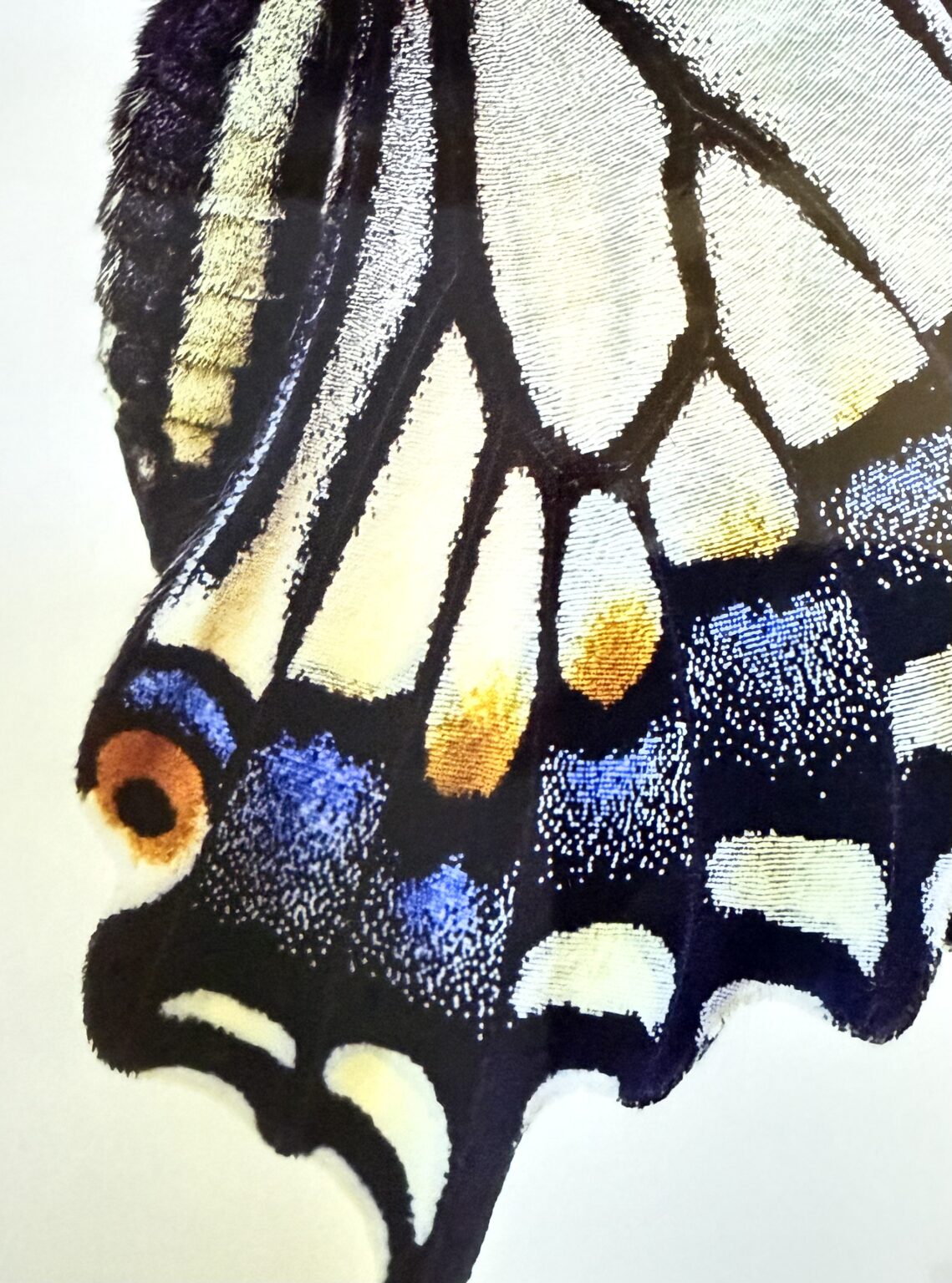 Exploring Print Finishes: My Test Print Experience with WHCC - Shutter ...